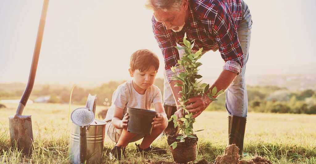 Why Planting Trees Supports a Healthier Ecosystem